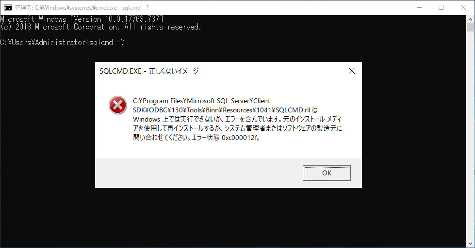 Windows Server 2019 で Sql Server 2016 の Sqlcmd のエラー Just Another